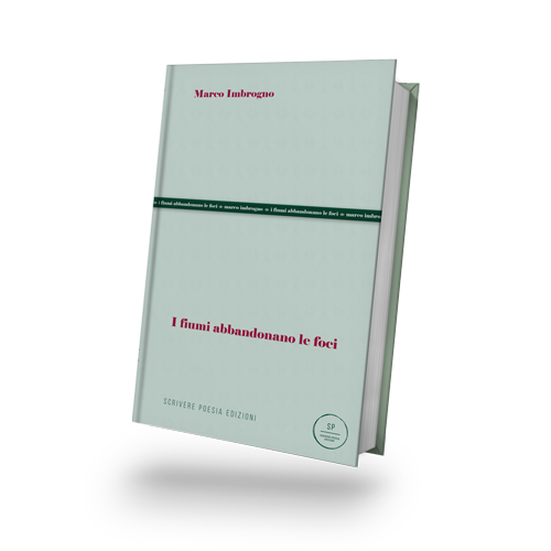 Quando la poesia incontra la solidarietà: “I fiumi abbandonano le foci” di Marco Imbrogno ...